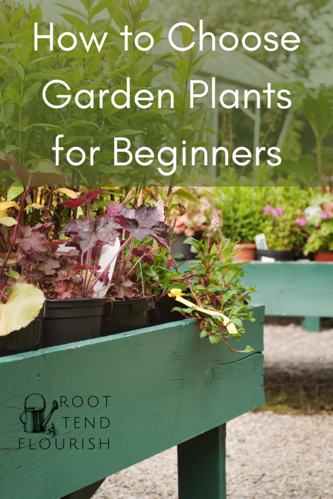 How To Choose Garden Plants for Beginners - Root Tend Flourish